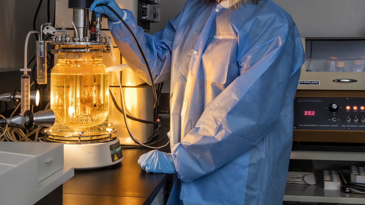 Upstream Processes Microbial Fermentation Ncbionetwork Org