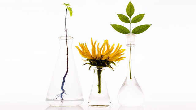 Natural Products Lab | NCBioNetwork.org